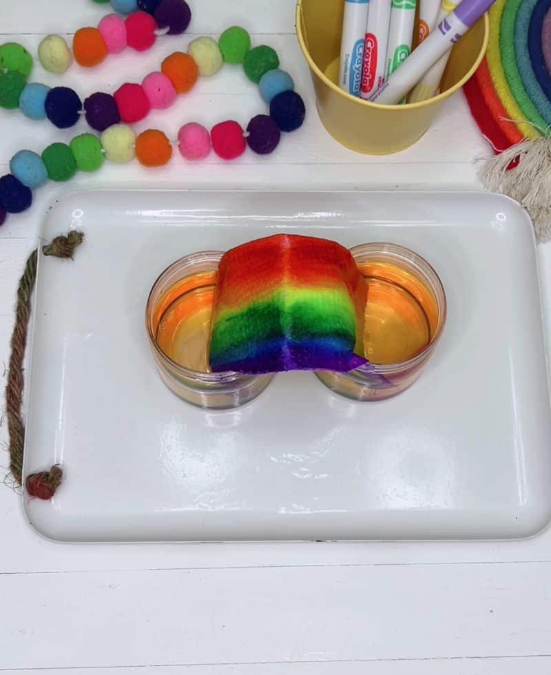 Grow a Rainbow Science Experiment