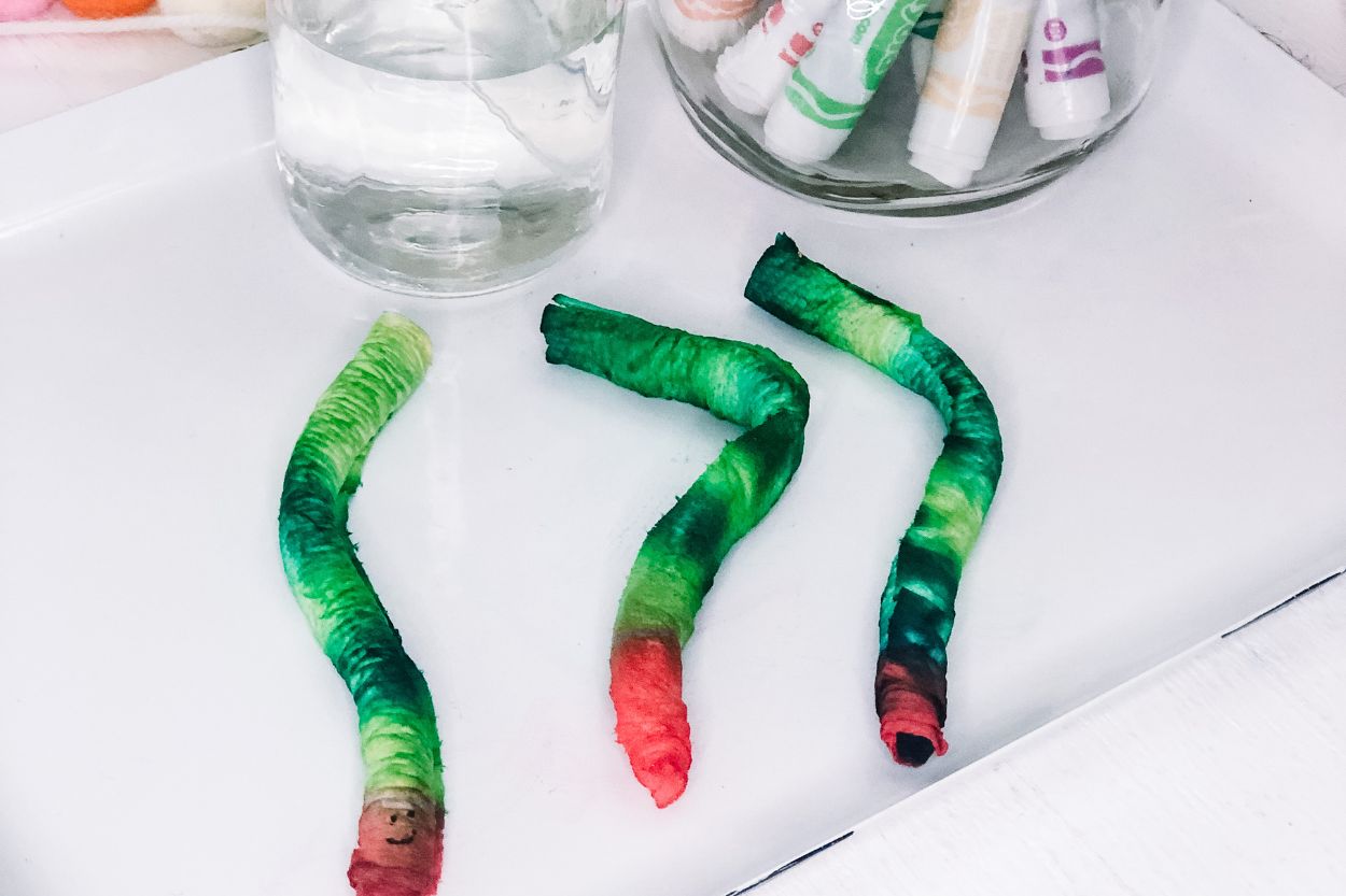Growing Caterpillar Science Experiment - beyond the playroom